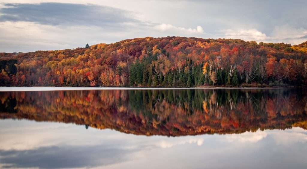 Spectacular Algonquin Fall Colours: Your Guide to South Algonquin’s ...