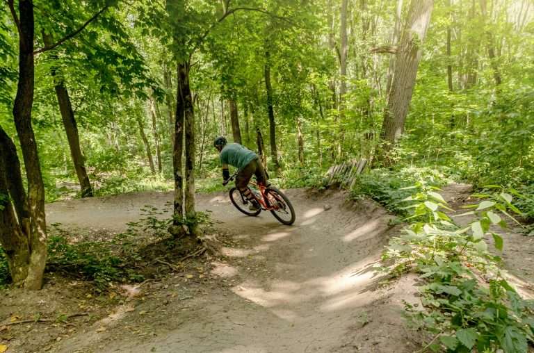 What to do in Algonquin Park: Your Algonquin Park Bucket List ...