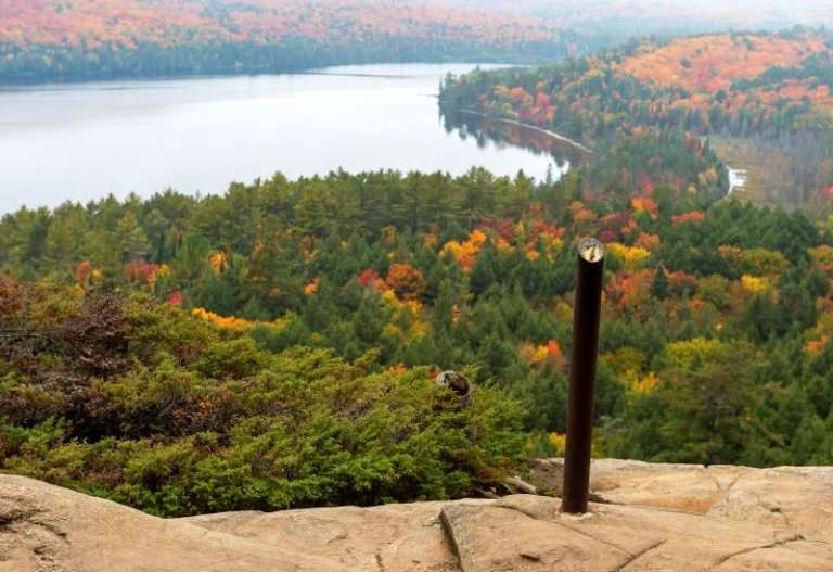 Algonquin Park Trails: Your Guide to World-Class Hiking