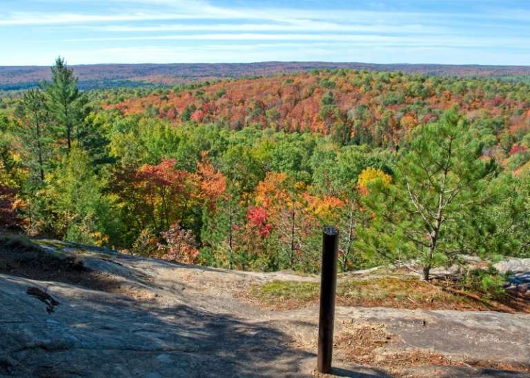 Algonquin Park Trails: Your Guide to World-Class Hiking