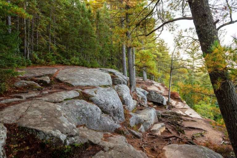 Algonquin Park Trails: Your Guide to World-Class Hiking