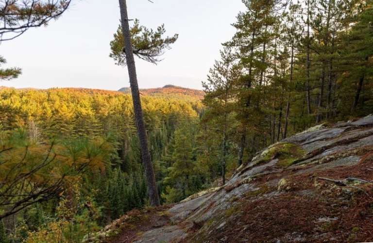 Algonquin Park Trails: Your Guide to World-Class Hiking